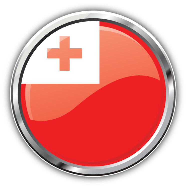 Tonga Flag Glossy Silver Medal Car Bumper Sticker Decal | eBay