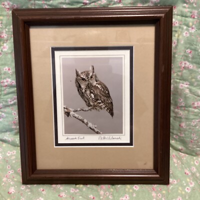 Vintage Screech Owl Photograph Art by Peter Urbansh Matted Framed Art ...