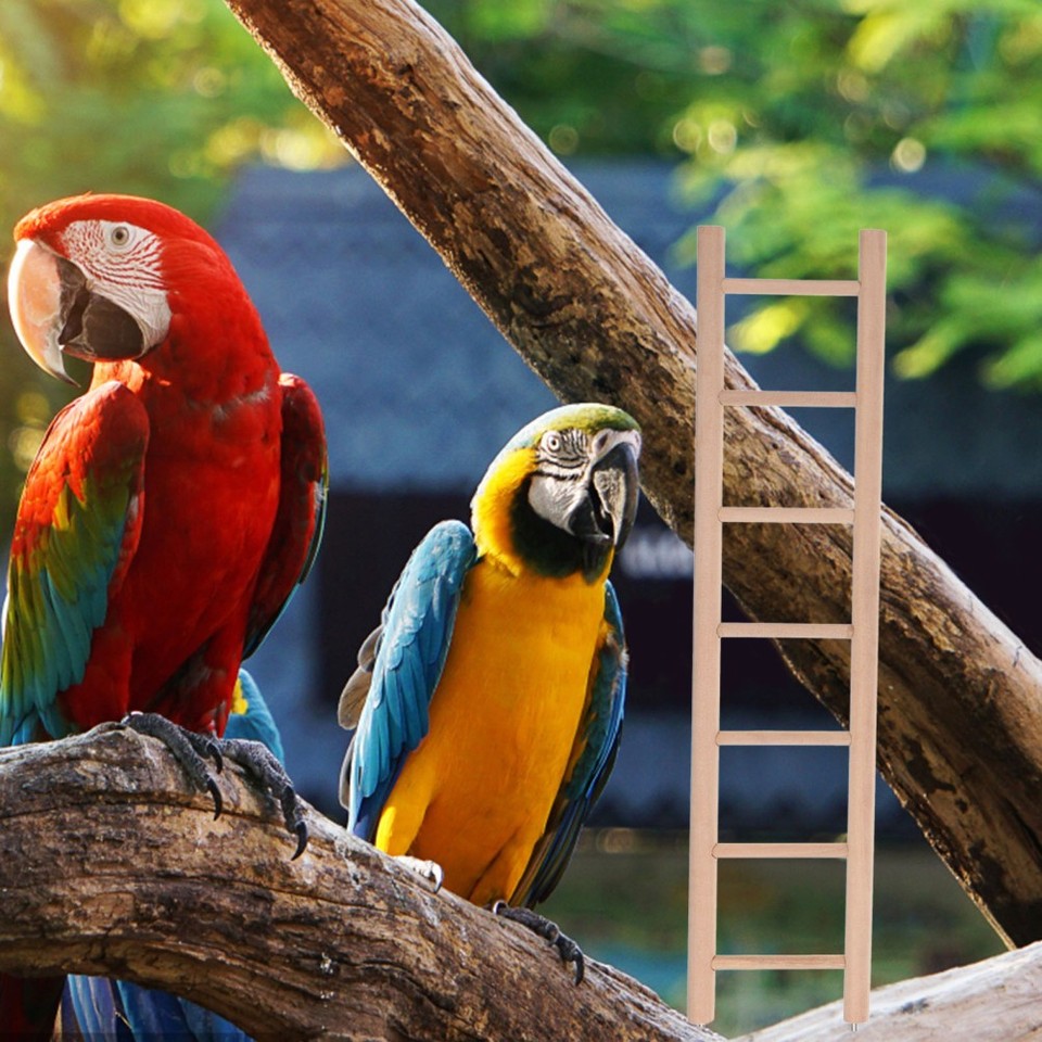 4 Pcs Bird Perch Ladder Parrot Climbing Toy Stairs for Cage Toys | eBay UK