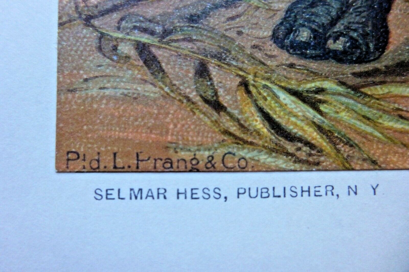 LOUIS PRANG CHROMOLITHOGRAPH RHINOCEROS | eBay