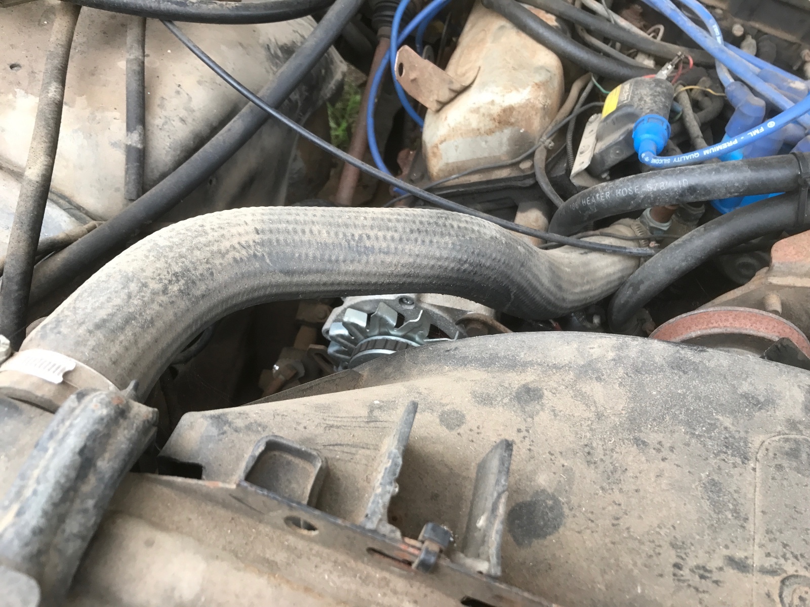 FORD F100 RADIATOR HOSE BOTTOM + TOP SUITS 81-85 F100 CLEVELAND V8 ...