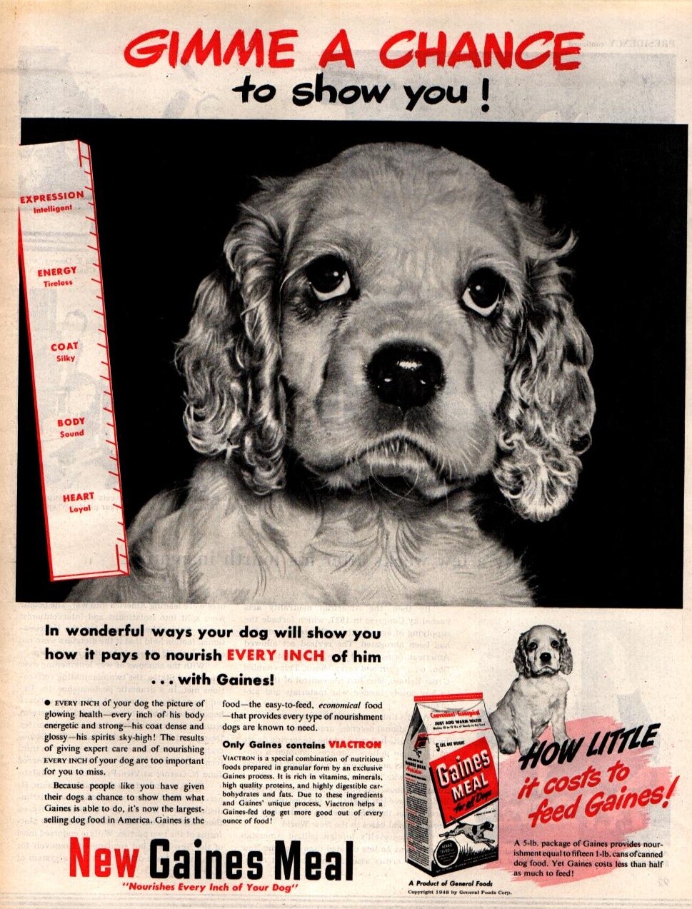1948 Gaines Meal Dog Food Sad Puppy Looks Hungry Vintage Print Ad 1190 ...