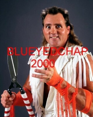 BRUTUS THE BARBER BEEFCAKE WRESTLER 8 X 10 WRESTLING PHOTO WWF | eBay