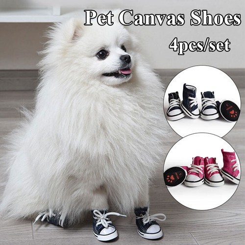 Pet Dog Cat Shoes Anti-slip Waterproof Sport Denim Canvas Sneakers ...
