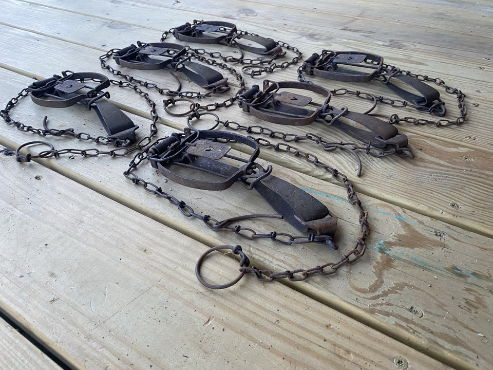 (6) Victor No. 1 RECTANGLE PAN Long Spring STOPLOSS Guard Traps ...