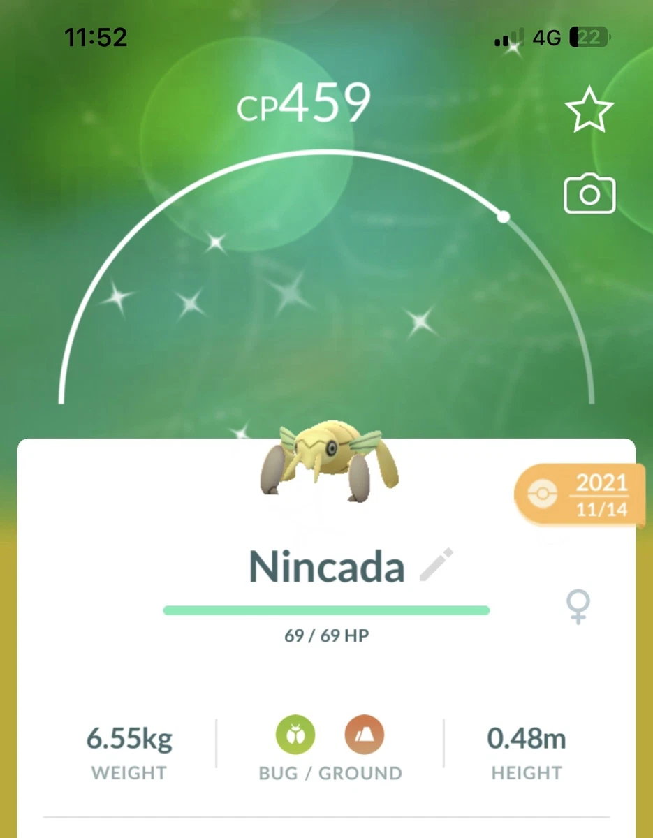 Shiny Nincada