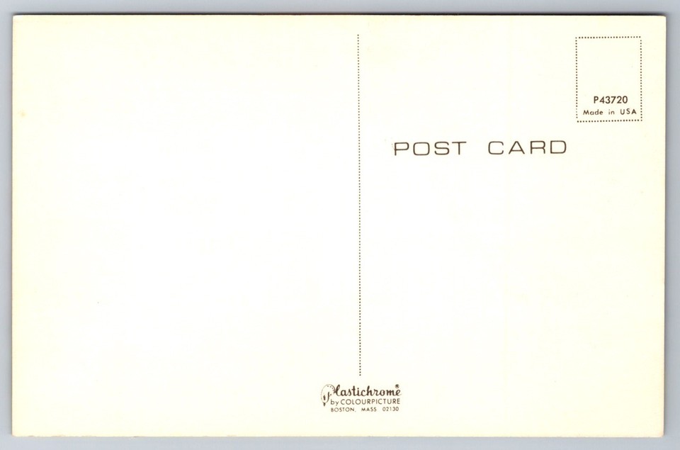 Postcard Motivational Quote Sales Success Cats Making Calls Gets ...