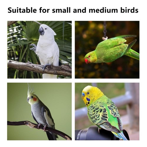 Wall Hanging Bird Parrot Stand Perch with Suction Cup for Shower Window ...