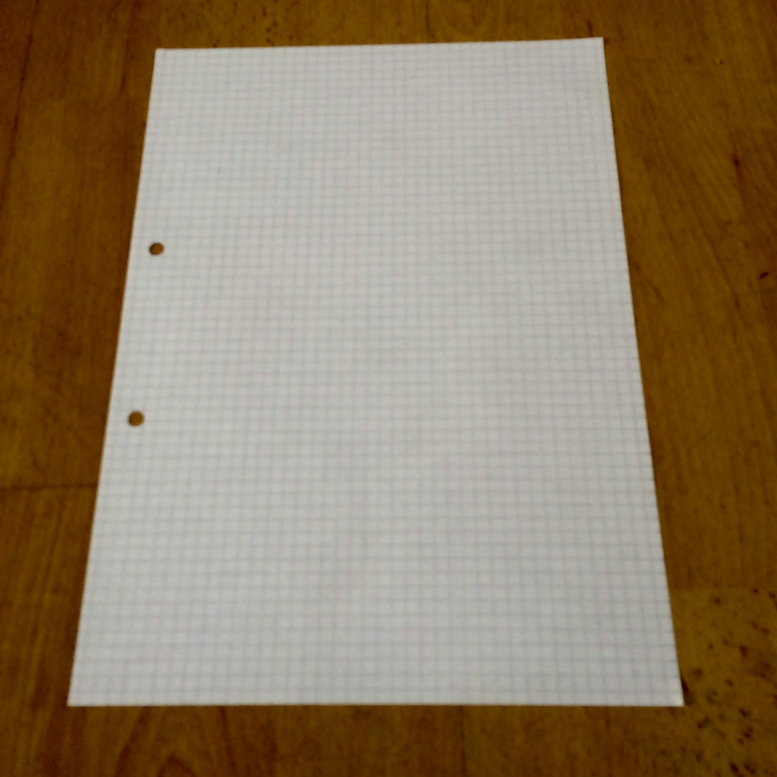 A4 Graph paper 5MM Squares 30 Loose Sheets Double Sided 2 Holes Punched ...
