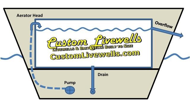 Livewell Tank for Keeping Fish Alive 40x12x12. Built by Custom ...