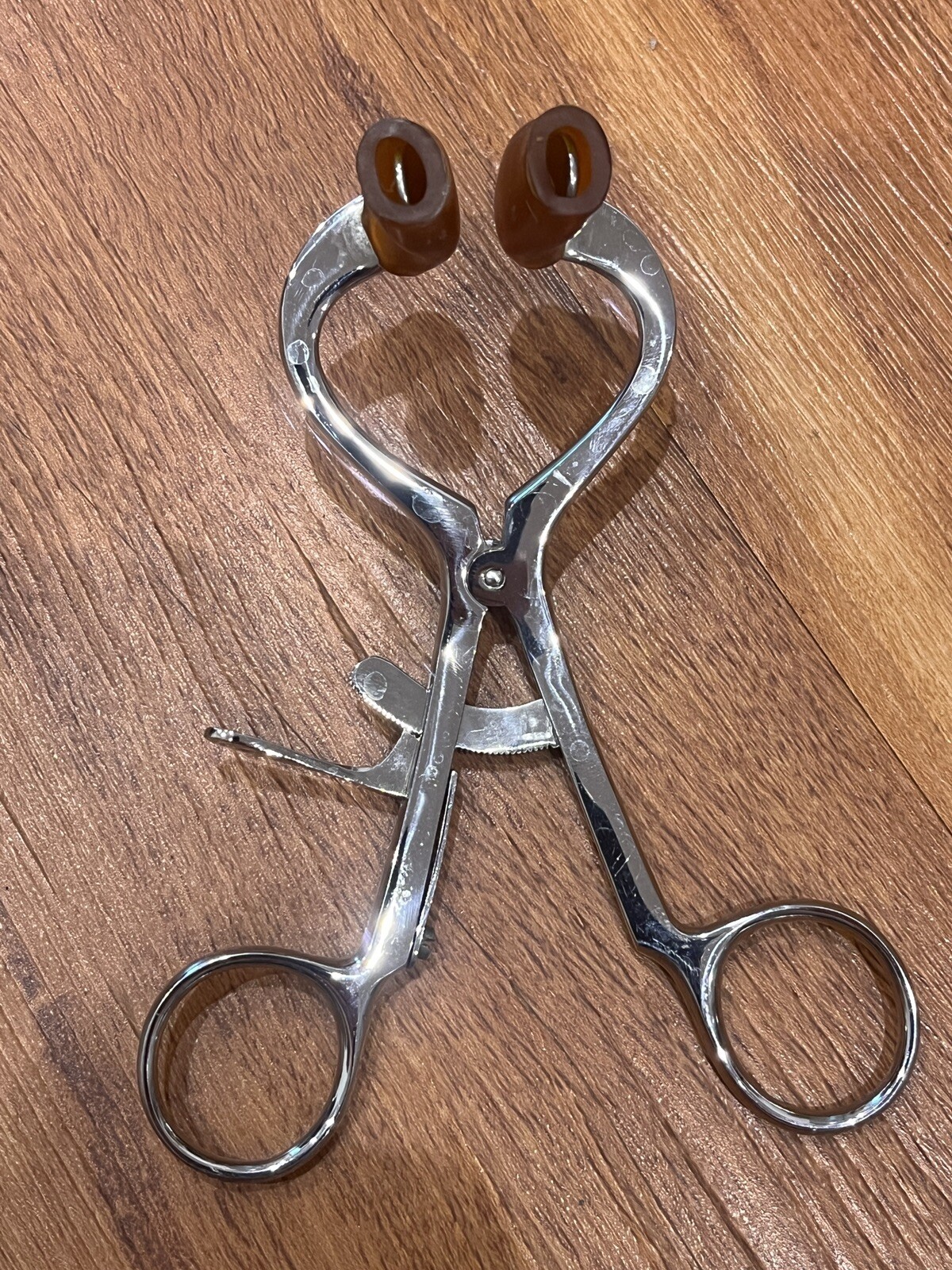 Ace Broc Mass Adult Molt-Type Mouth Gag | eBay