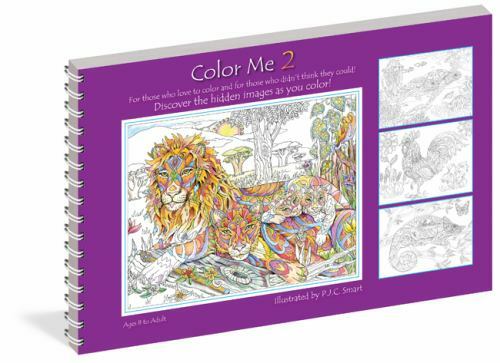 Color Me Your Way Ser.: Color Me Your Way 2 (2016, Spiral) for sale ...