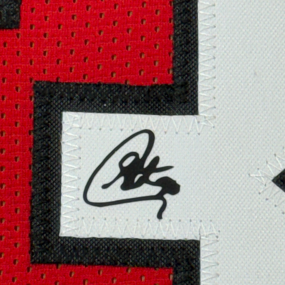 Framed Facsimile Autographed Stephen Steph Curry 35x39 Davidson Reprint ...