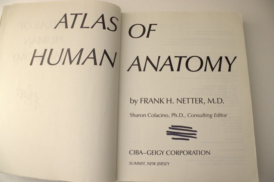 Atlas of Human Anatomy by Frank H. Netter (1989, Paperback ...