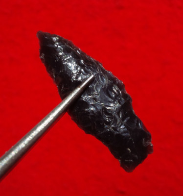THIN 1-5/8" SCOTTSBLUFF II OREGON ARROWHEAD Projectile Point AUTHENTIC ...