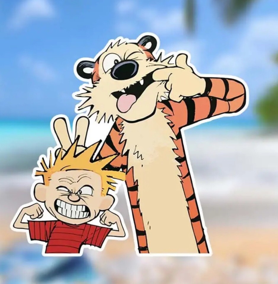 🔥Calvin and Hobbes HUGE 4+” DieCut Vinyl Sticker Decal Tiger Cartoon ...