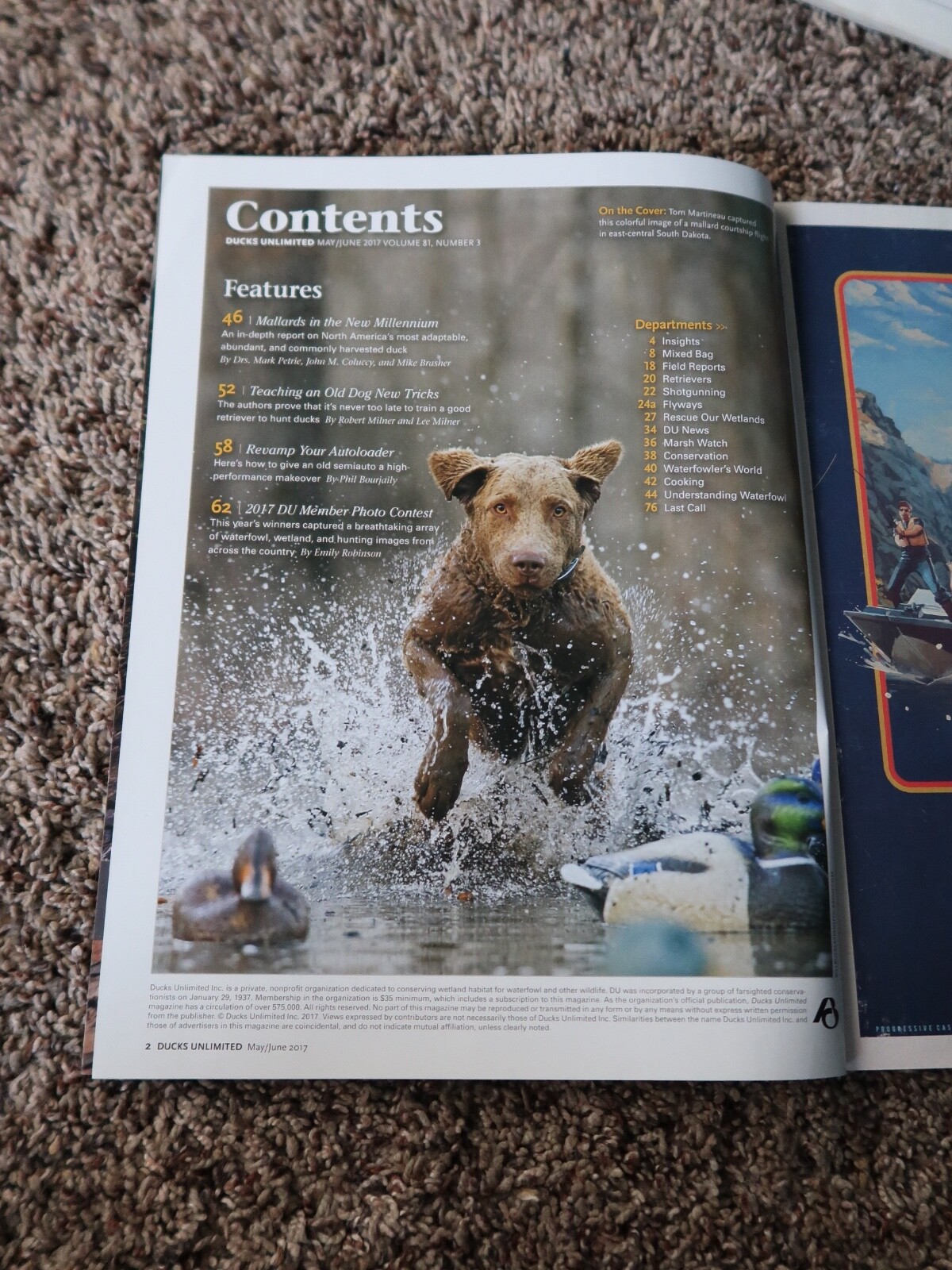 📌 LOT of 3 vintage Ducks Unlimited bird hunting magazines mallards guns ...