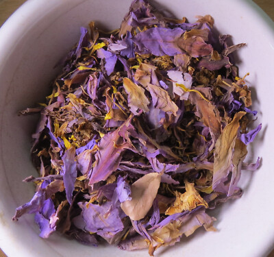 BLUE LOTUS FLOWERS | eBay Australia