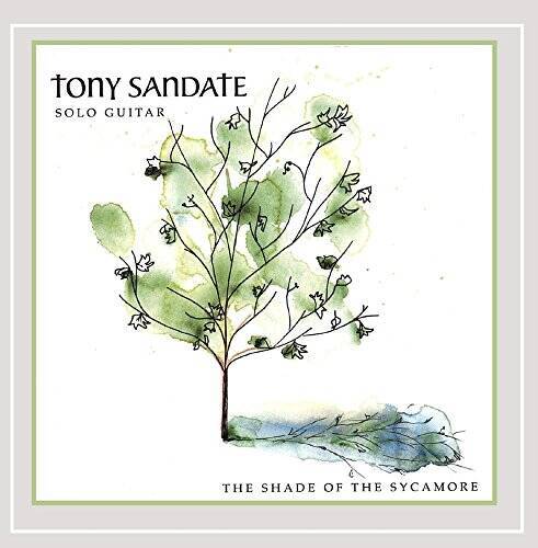 The Shade of the Sycamore - Audio CD By Tony Sandate - VERY GOOD ...