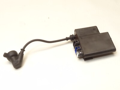 New Genuine OEM STIHL MS 500i MS500i Ignition Control Module Chainsaw ...