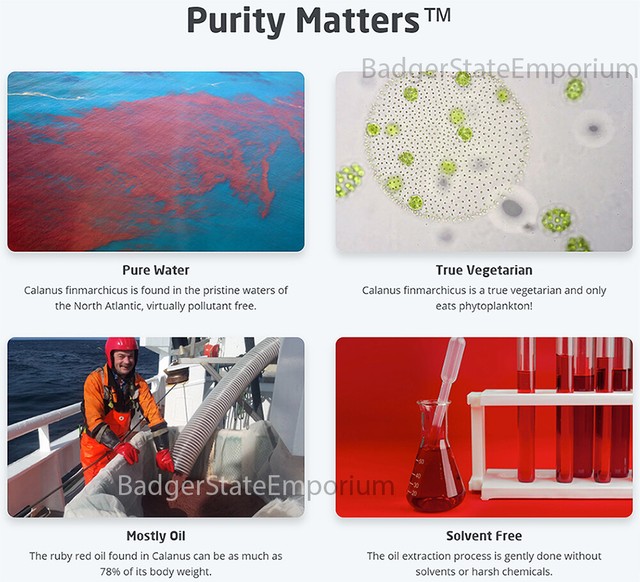 Arctic Ruby Oil Omega-3 with Astaxanthin - 60 Cps for sale online | eBay