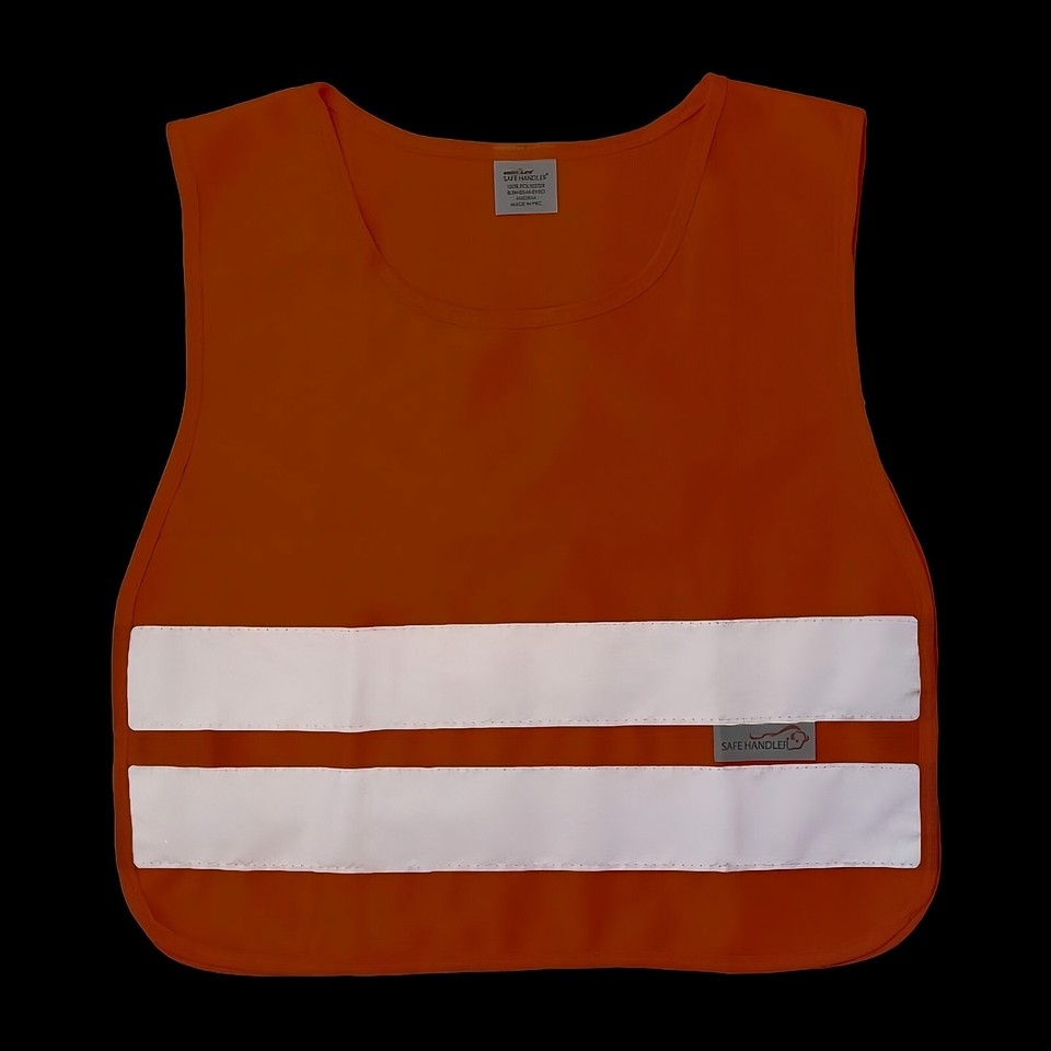 Reflective Safety Vest For Child, Lightweight, Polyester, Orange (2 ...