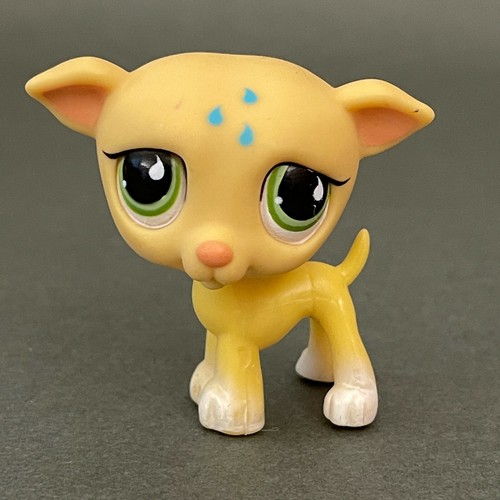 Littlest Pet Shop LPS Hasbro 2006 Yellow Whippet Greyhound Puppy Dog | eBay