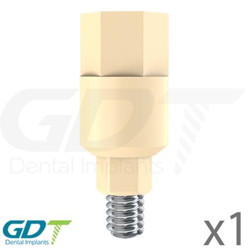 CAD/CAM Peek Body Scan Prosthetic Scanning Int Hex Dental Fixture GDT ...