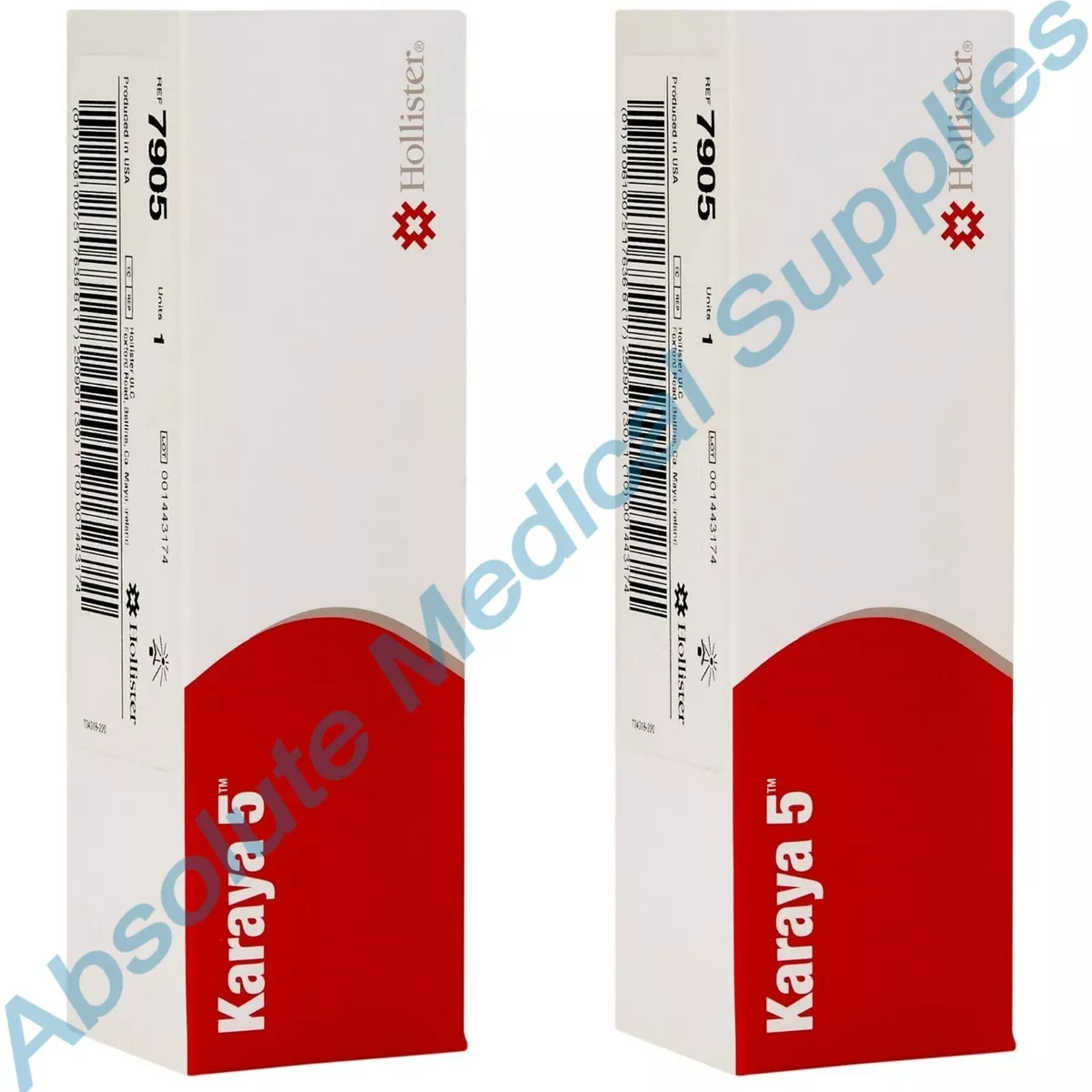 Hollister Models Abs