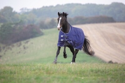 Shires Tempest Plus Rain Sheet 1200 Lite-72"-Navy/Grey | eBay