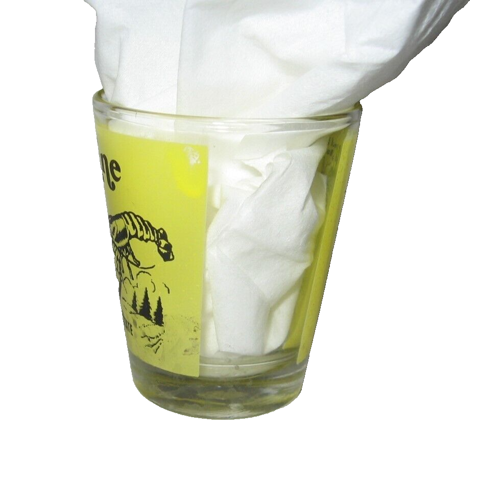 Maine Souvenir Shot Glass Lighthouse Lobster Pine Tree State Paul ...