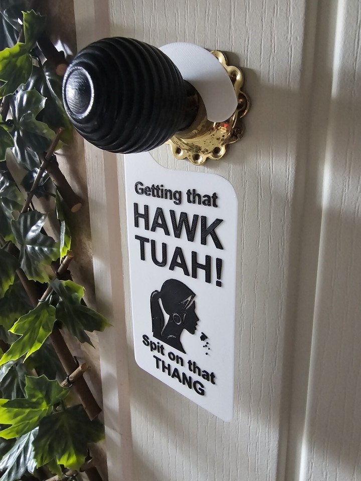 Hawk Tuah Do Not Disturb Door Sign Hanger | eBay UK