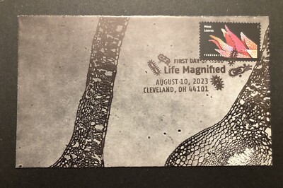 2023 Life Magnified FDC HAND CRAFTED FOLDED CACHET Moss leaves Lilac ...