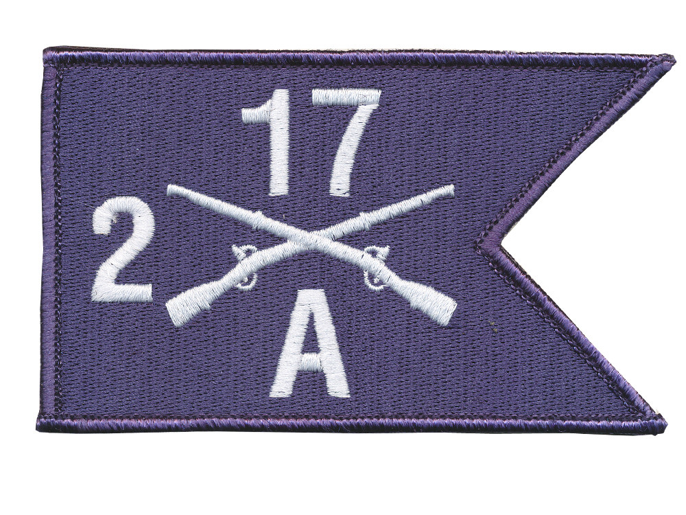 A co 2-17 Infantry, 17th Infantry Regiment - Guidon Patch 5" X 3 ...