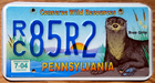 2004 Pennsylvania Specialty License Plate Number Tag – Conserve Wild ...