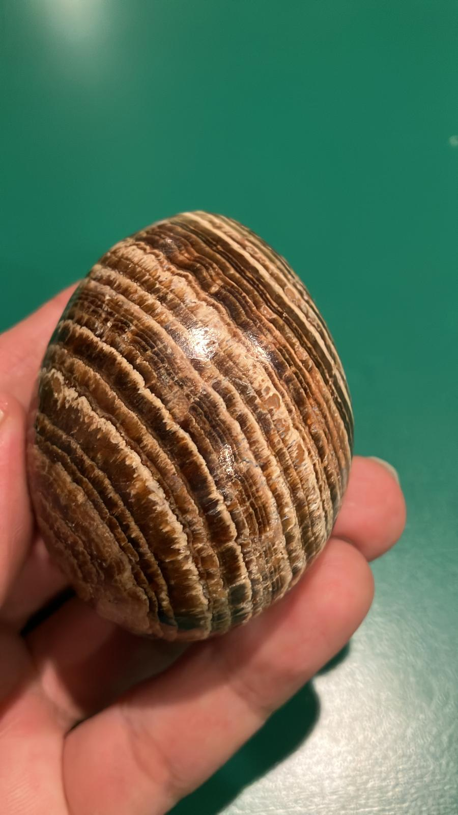 Natural Banded Swirl Aragonite egg, Aragonite Orb, Limestone Travertine ...