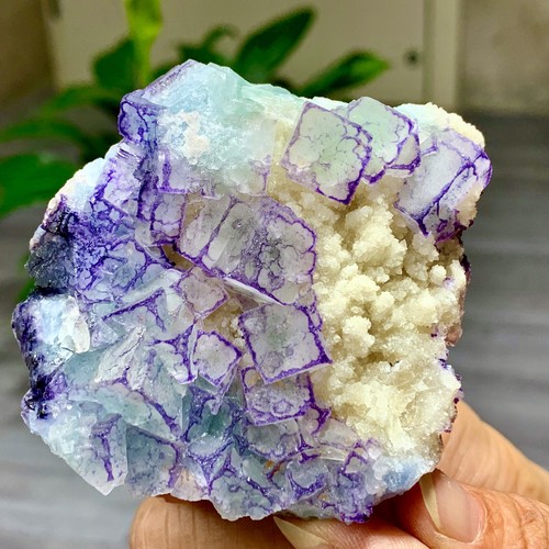 210G Natural Purple "QR Code"Fluorite Cluster Crystal Mineral Specimen ...