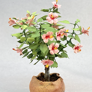Tropical Miniatures by Mary Kinloch | eBay Australia Stores