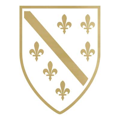 BOSNIA BOSNA Emblem Sticker Car Decal Sticker Wall Tattoo Car | eBay