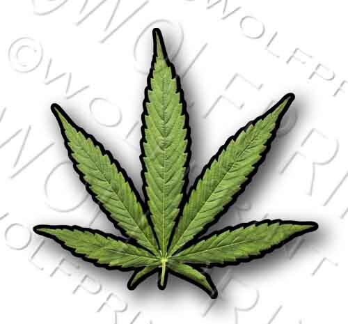 Marijuana Leaf Sticker 4" Tall Pot Weed Cannabis Smoke Vinyl Decal | eBay