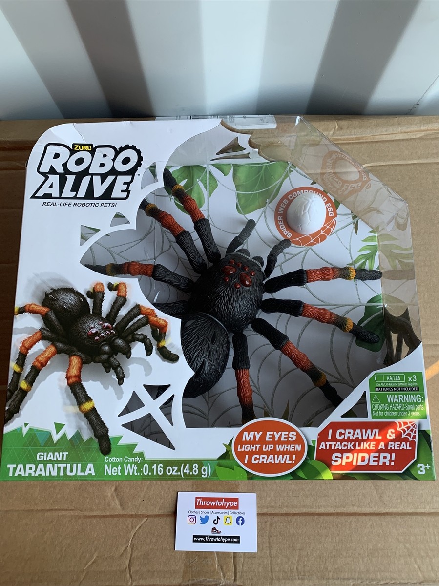 Real Life Giants Spider Giant Cave Spider Discovered In Oregon