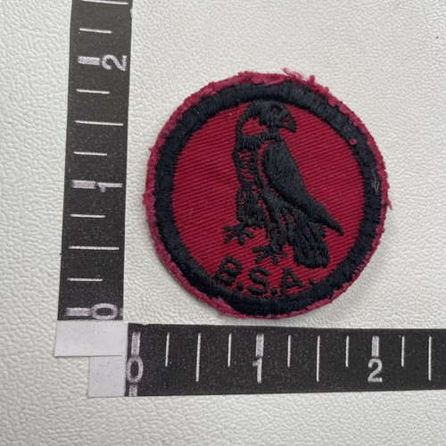 Vtg Boy Scouts Patrol Medallion HAWK Patch 13T | eBay