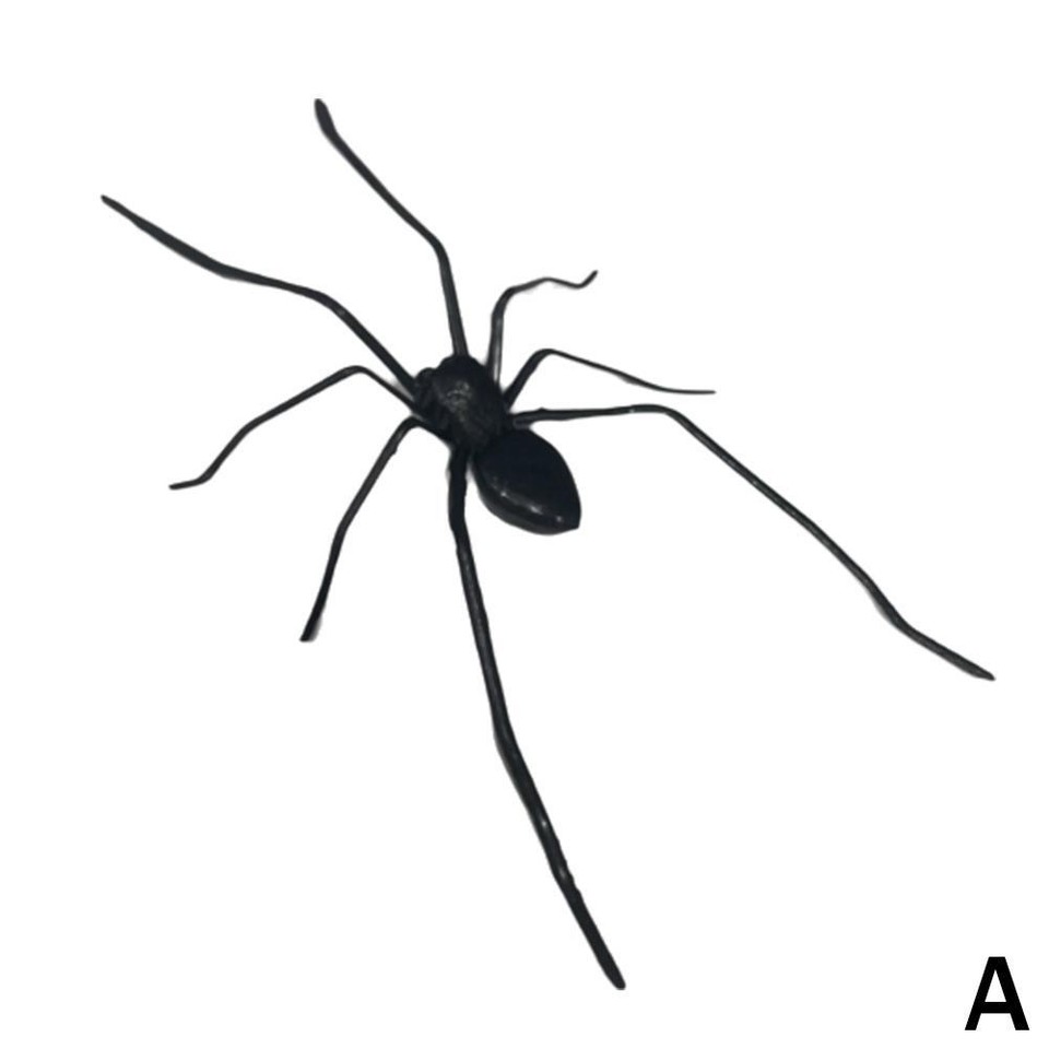 ☆Spider Fridge Magnet, Realistic.Cute for Refrigerator, Garage Door or ...