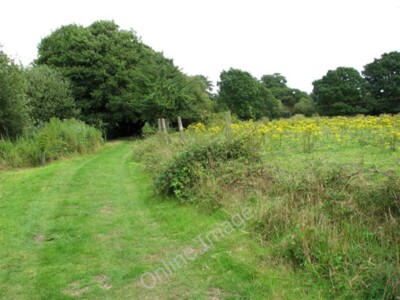 Photo 6x4 This way to the staithe Surlingham This public footpath leads ...