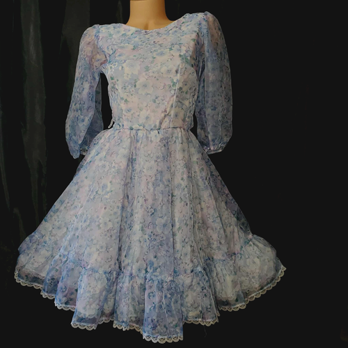 USA VTG SQUARE DANCE DRESS Blue Floral Chiffon Crinoline Feminine ...