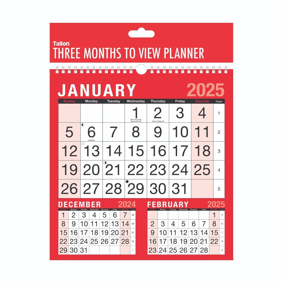 2025 Wall Calendar Slim Calender, A4 Large Month to View Planner, Easy ...