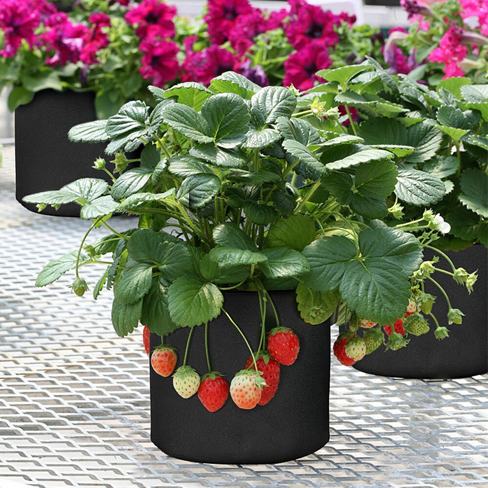 6 Pk Plant Grow Bags Fabric Pot Nursery Soil Bag with Handles Thickened ...