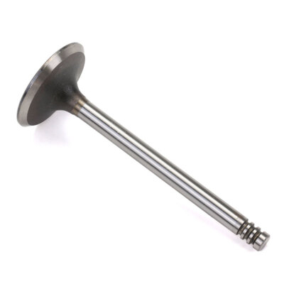 TRW Intake Valve 7mm 39486 | eBay