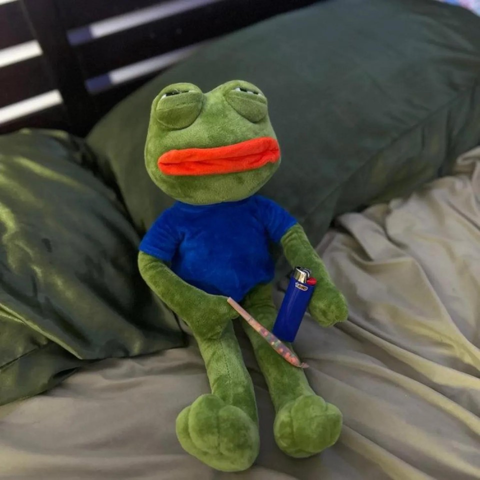 45cm Sad Frog Plush Toy Soft Stuffed Pillow Magic Expression Pepe With ...