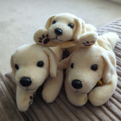 Andrex Puppy Dog 2 x Medium & 1 x Puppy Labrador Plush Soft Cuddly Toys ...